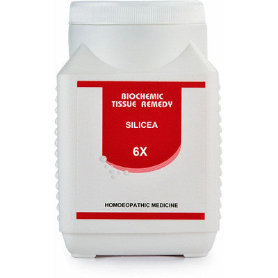 Bakson Silicea 6X (450g) – Greenleafdrugstore